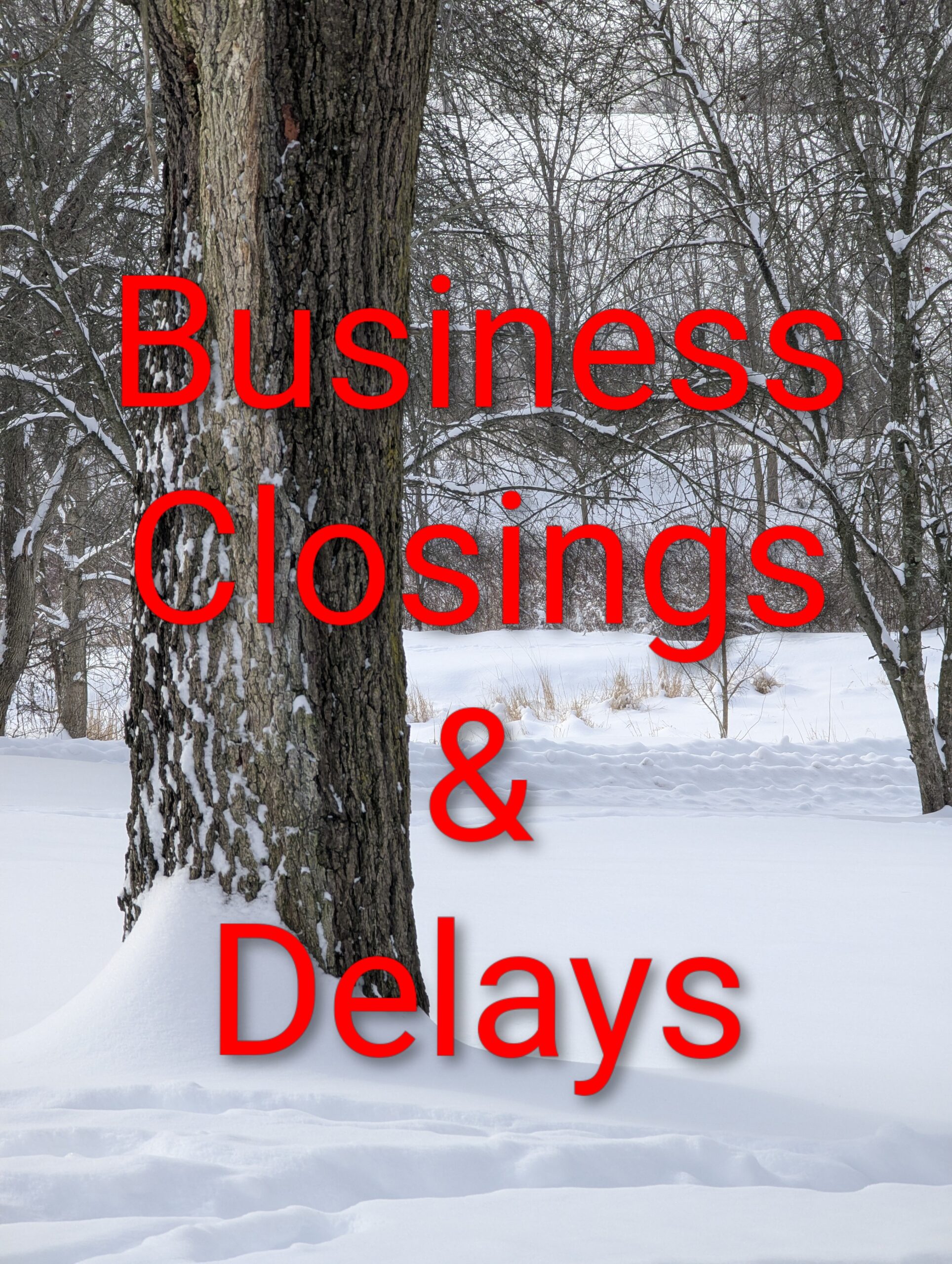 Business Closings and Delays - WMVO